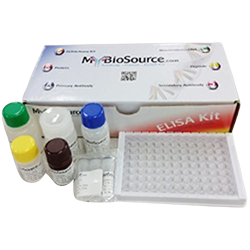 Welcome to Technokit Group